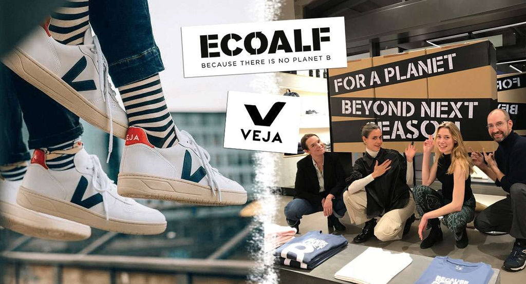 VEJA & ECOALF zwei von uns ausgesuchte Nachhaltige Marken – Moreboards